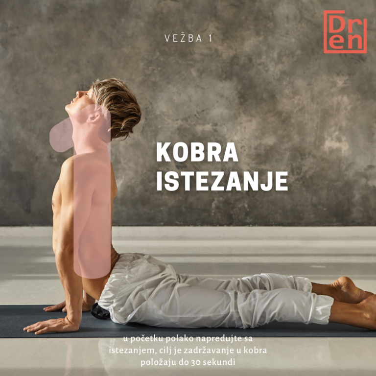 Vežbe za ledja kod kuce – najbolji predlozi - Dr Dren